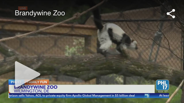 Home • Brandywine Zoo • Brandywine Zoo • Go a Little Wild