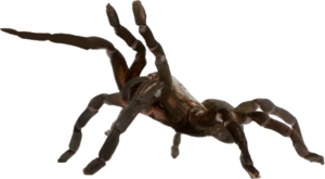 Zoo Map - Brandywine Zoo