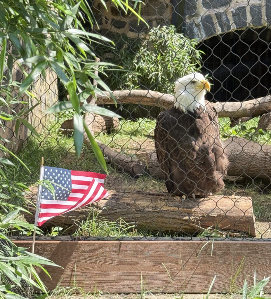 Your Stories - Brandywine Zoo