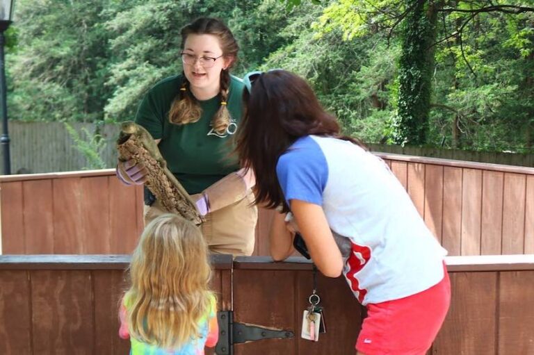 Creature Features - Brandywine Zoo
